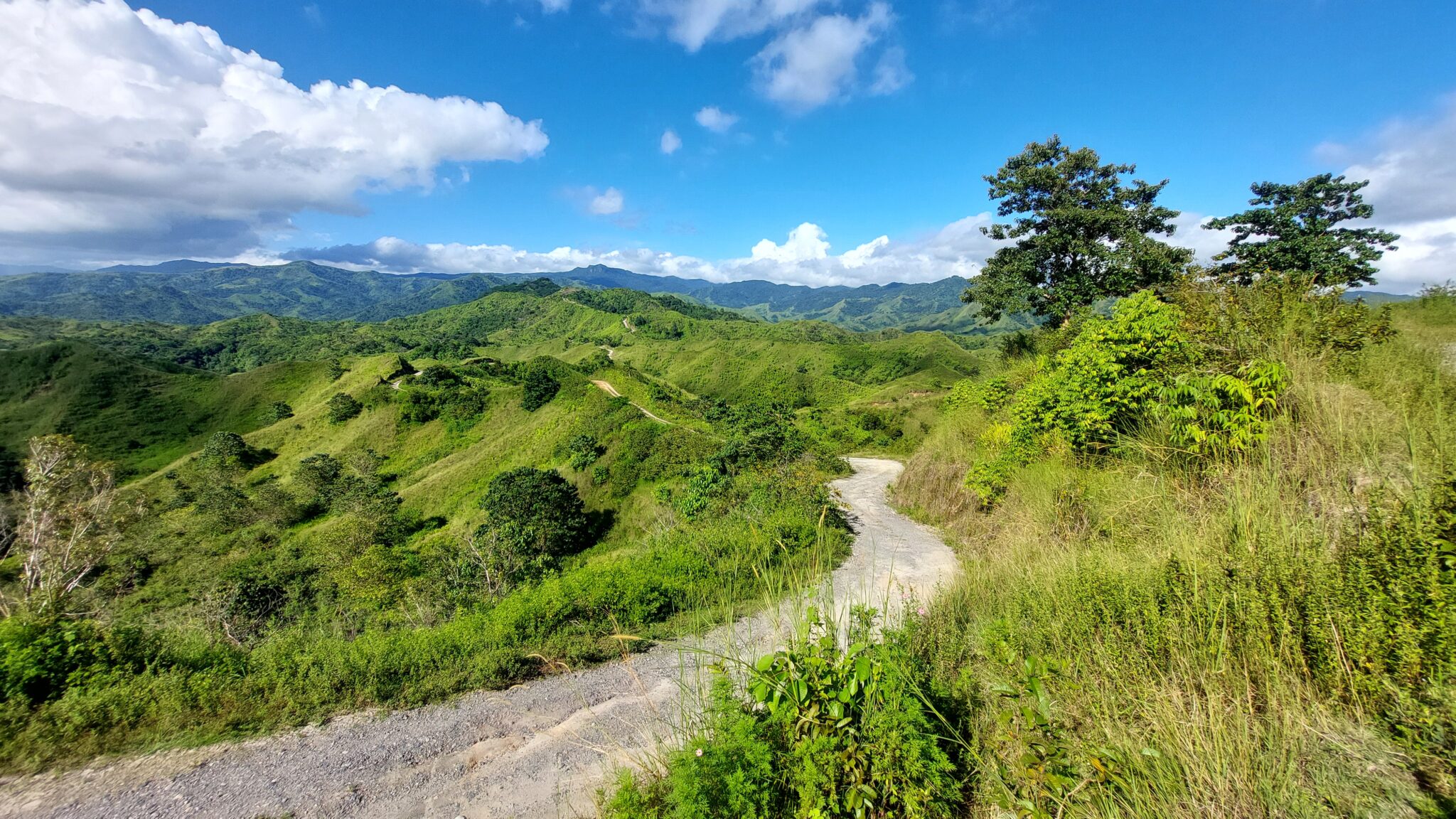 INES CONTINUES TO DEVELOP ITS ACTIVITY IN THE PACIFIC – Ines ingenieros ...